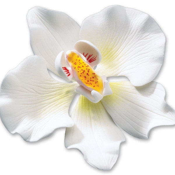 Gum Paste Flowers - Etsy