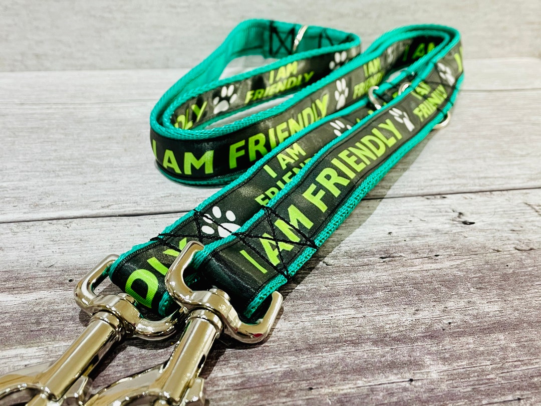 I Am Friendly Dog Lead - Green Alert Leash, Sociable Puppy - Padded ...