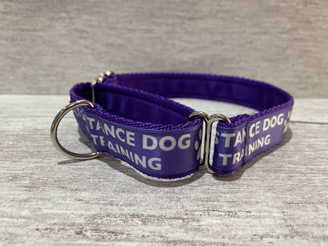 In Training - Support Dog Collar **choice of Colours** **matching Lead ...