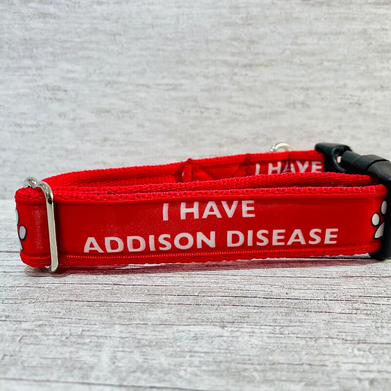 Addisons Disease - Etsy