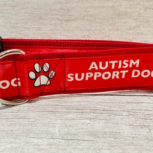 Autism Support Dog - Personalised - Small Dog - Large Dog - Cushioned ...