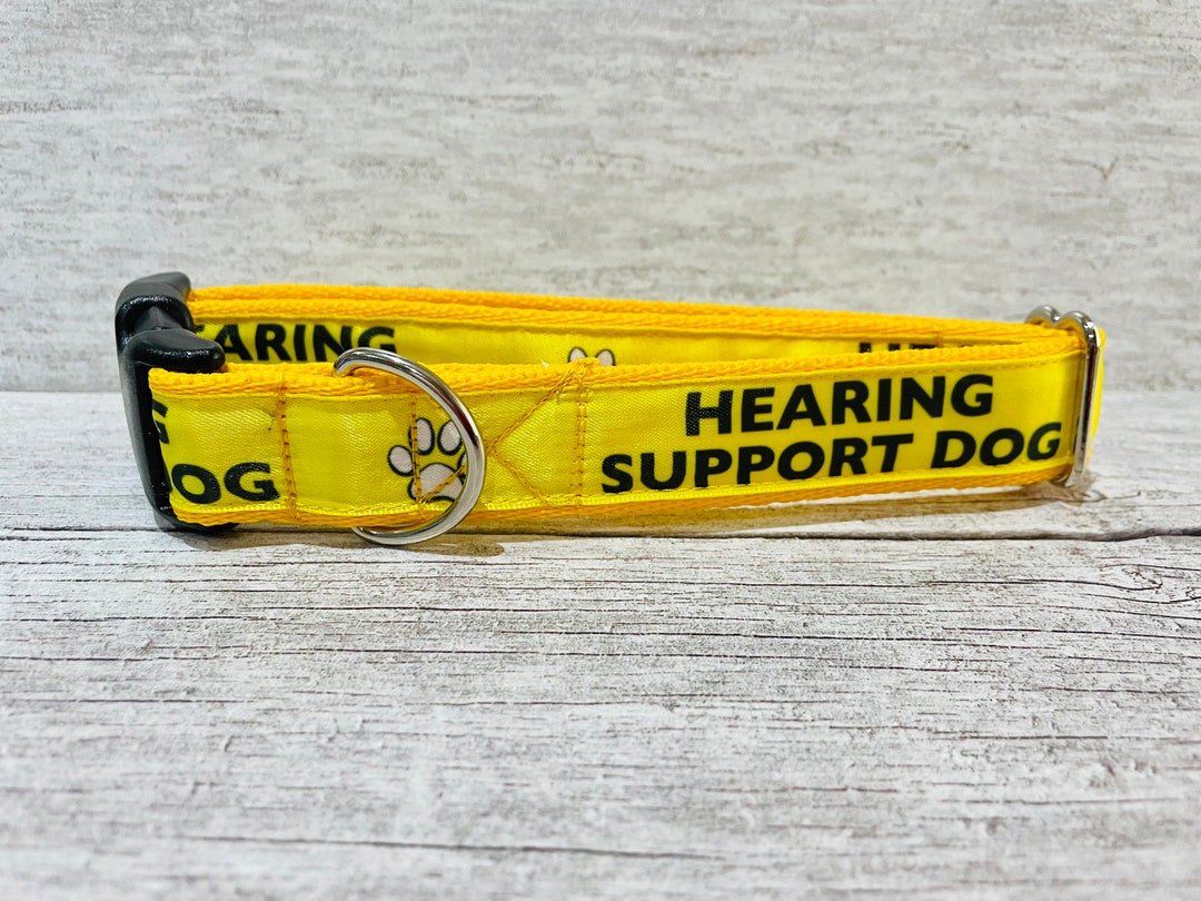 Hearing Support Dog Collar - Alert Puppy Any Colour, Personalised ...