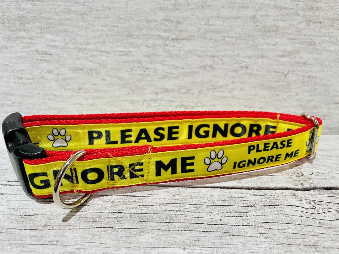 Please Ignore Me - Reactive Dog Collar Alert Collars **keep Away ...