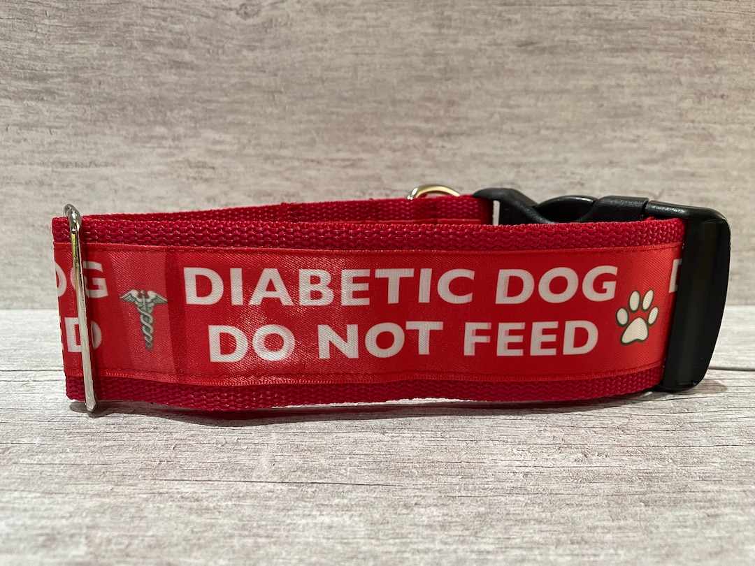 Diabetic Dog Collar: Medical Alert, Do Not Feed - Etsy