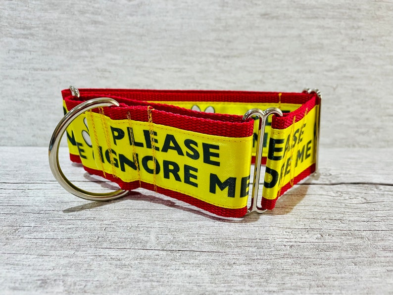 Please Ignore Me Reactive Dog Collar Alert Collars keep - Etsy