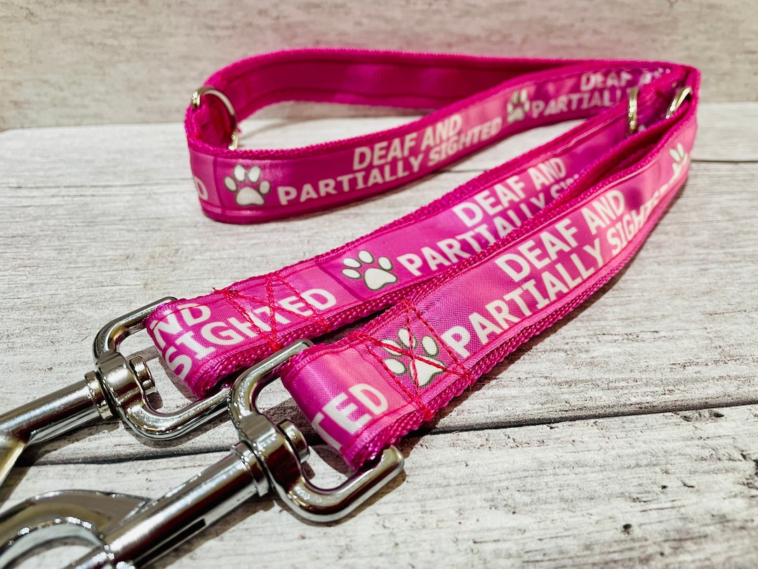 Deaf & Partially Sighted Dog Lead - Alert Leash - Any Colour - Etsy