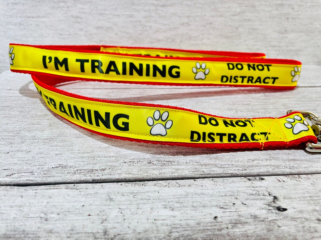 I'm Training Dog Leash: Do Not Distract, Space Needed - Etsy