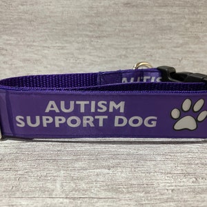 Autism Support Dog - Personalised - Small Dog - Large Dog - Cushioned ...
