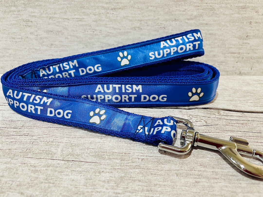 Autism Support Dog Lead: Alert Collar, Any Color - Etsy