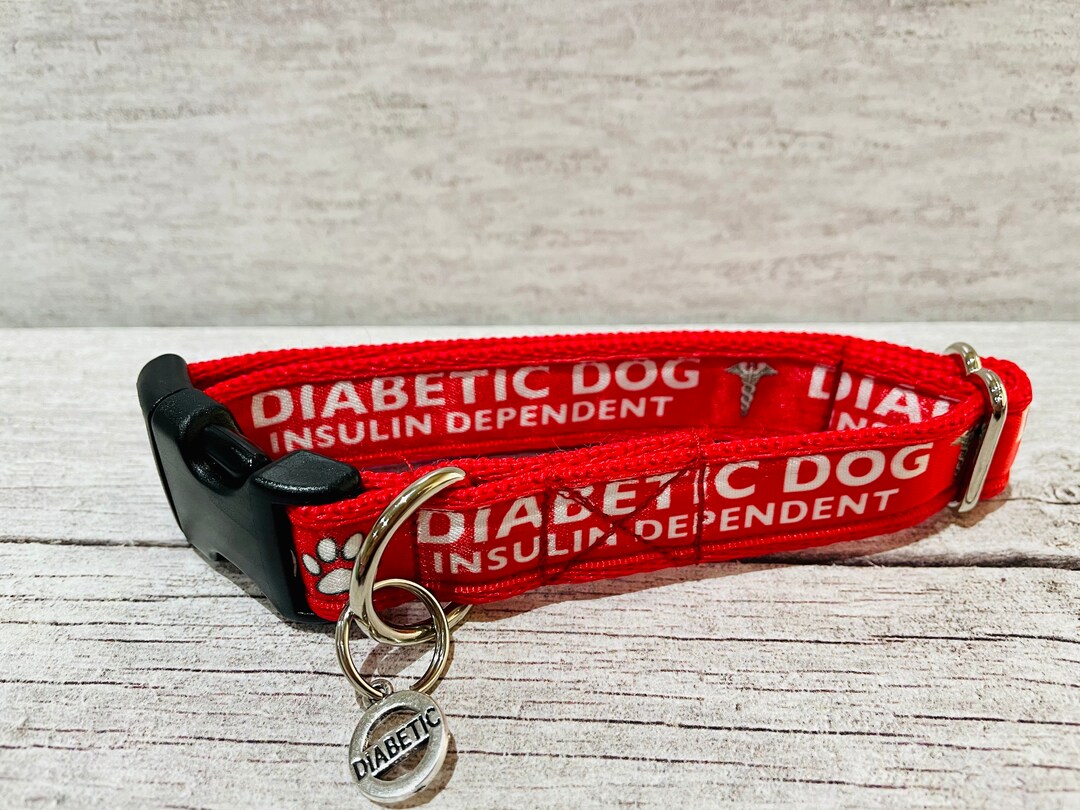 Diabetic - Epileptic - Medical Alert - Seizures - Ribbon Puppy Small ...