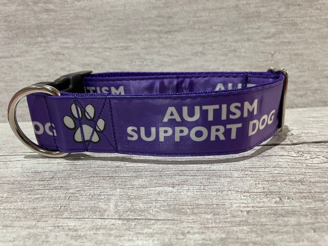 Autism Support Dog - Personalised - Small Dog - Large Dog - Cushioned ...