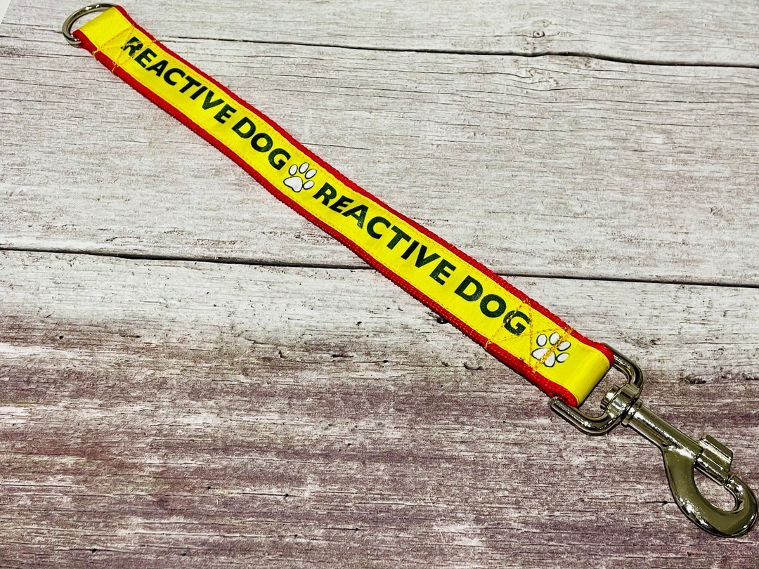 Reactive Dog Lead: Anxious/working Dog Alert Tag, Custom Color - Etsy