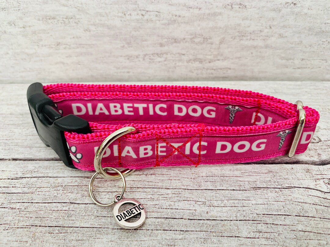 Hot Pink Diabetic Dog Collar: Medical Alert Ribbon, All Sizes - Etsy