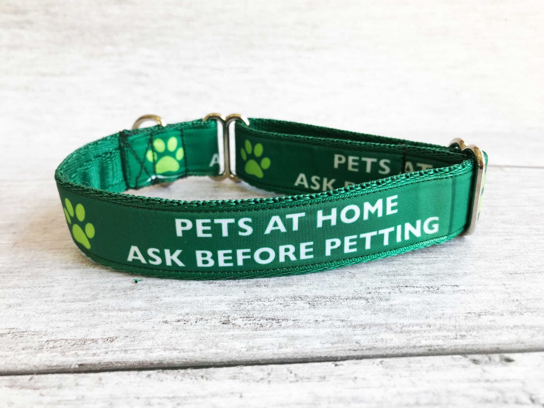 Customise Your Own Dog Collar *custom Print *your Chosen Design* *any ...
