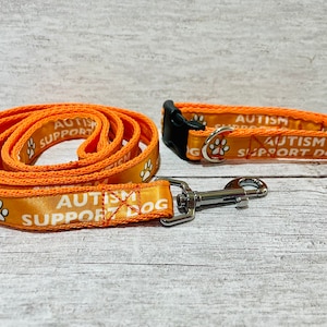 Autism Support Dog - Personalised - Small Dog - Large Dog - Cushioned ...