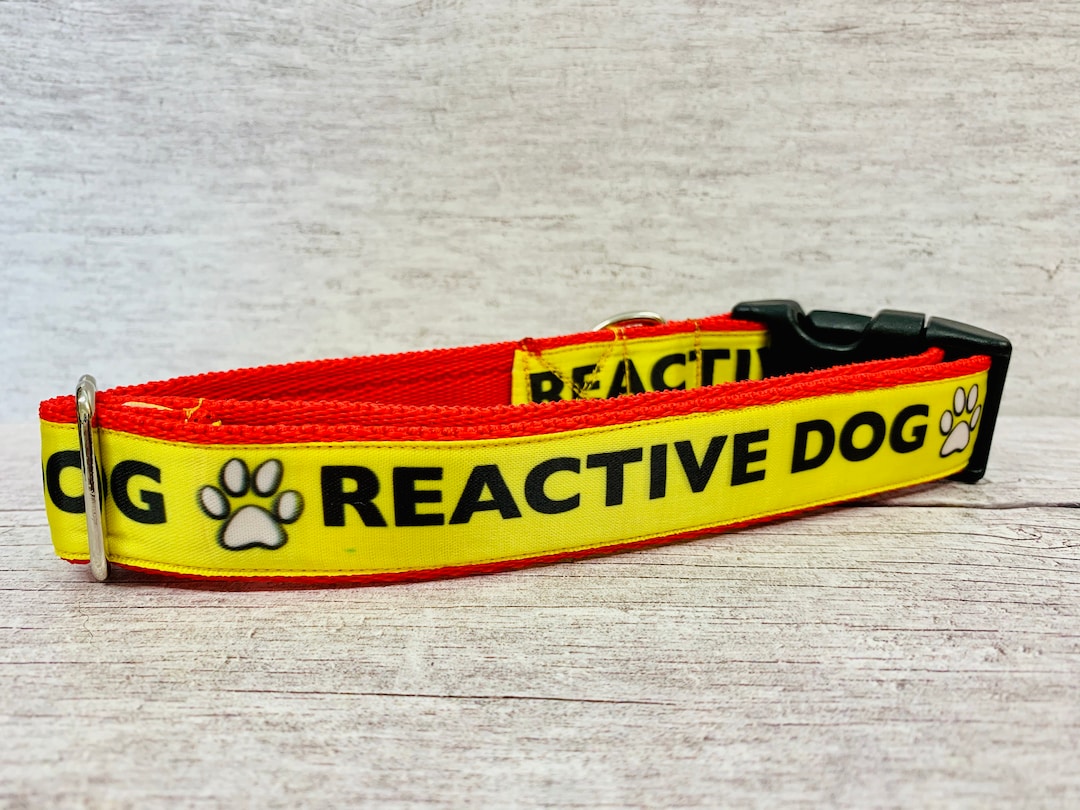 Reactive Anxious Dog Collar - Do Not Touch Alert, Warning Space Safety ...
