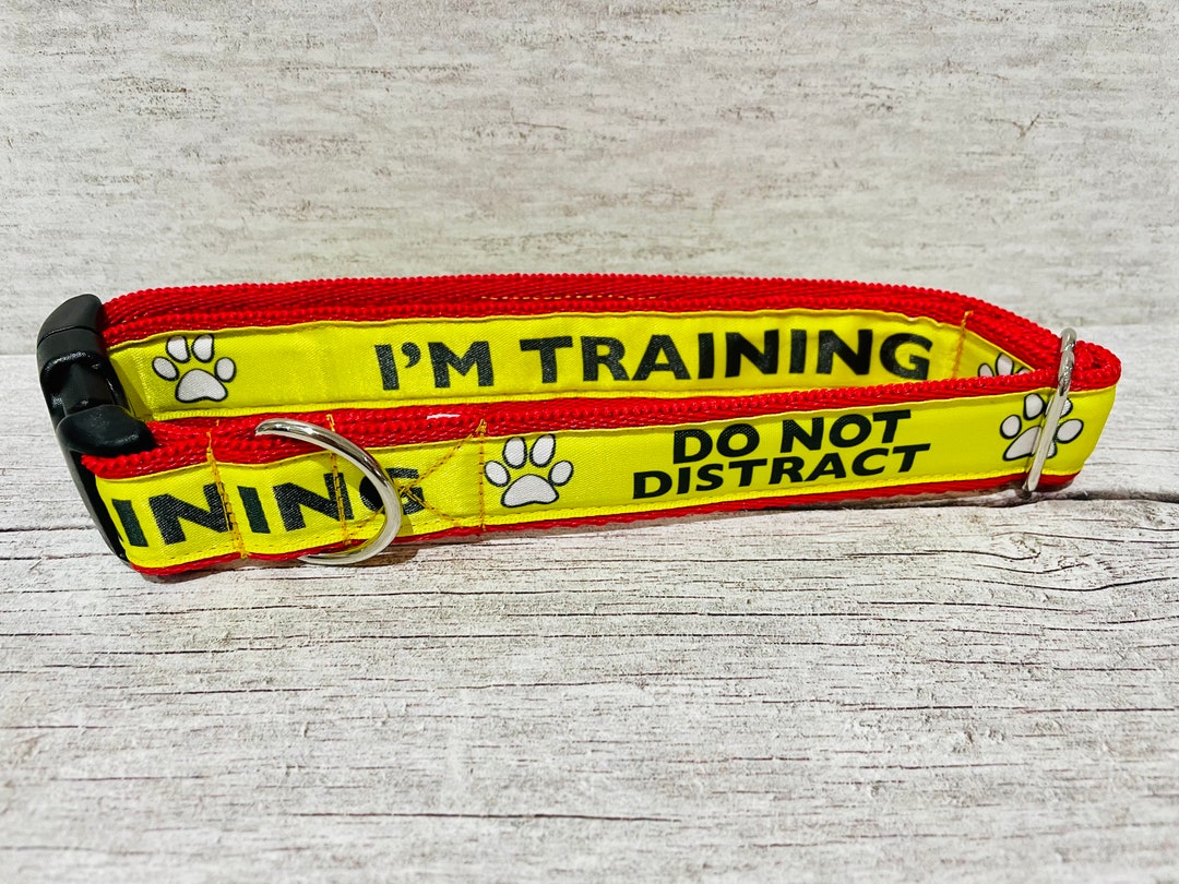 I'm Training - Do Not Distract Dog Collar Alert Collars **keep Away ...