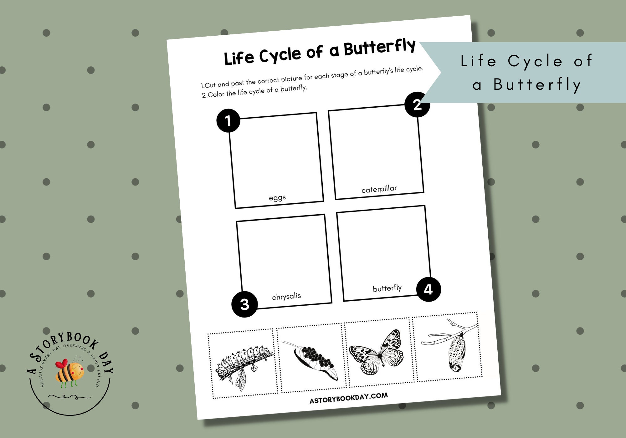 PDF: Life Cycle of a Butterfly Worksheets Bundle Spring Nature Study - Etsy