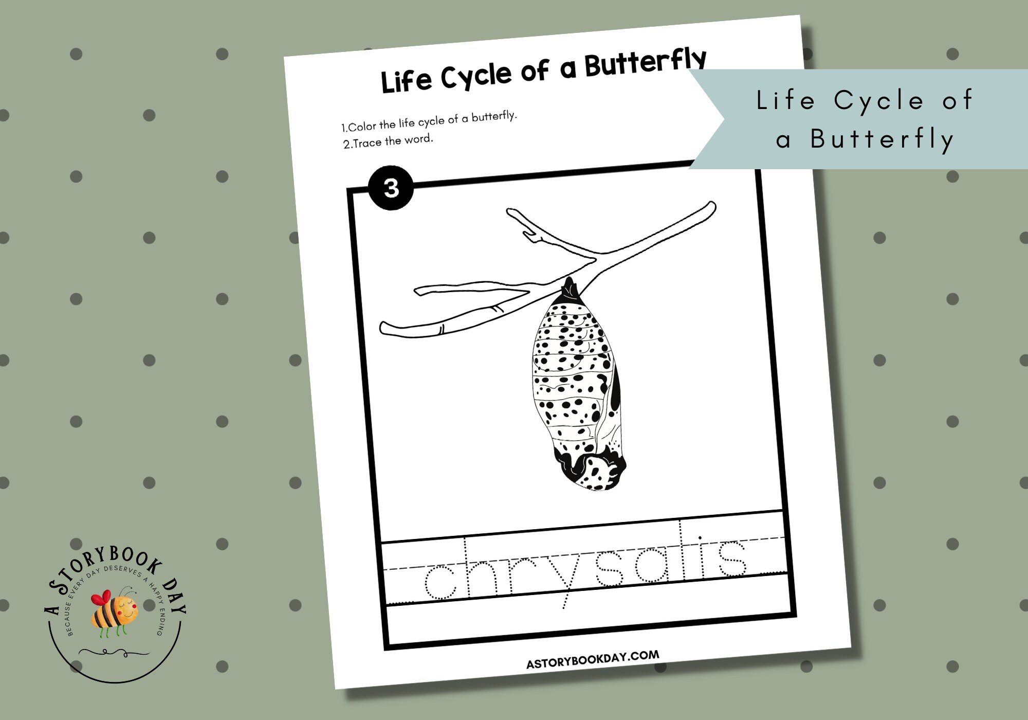 PDF: Life Cycle of a Butterfly Worksheets Bundle Spring Nature Study - Etsy