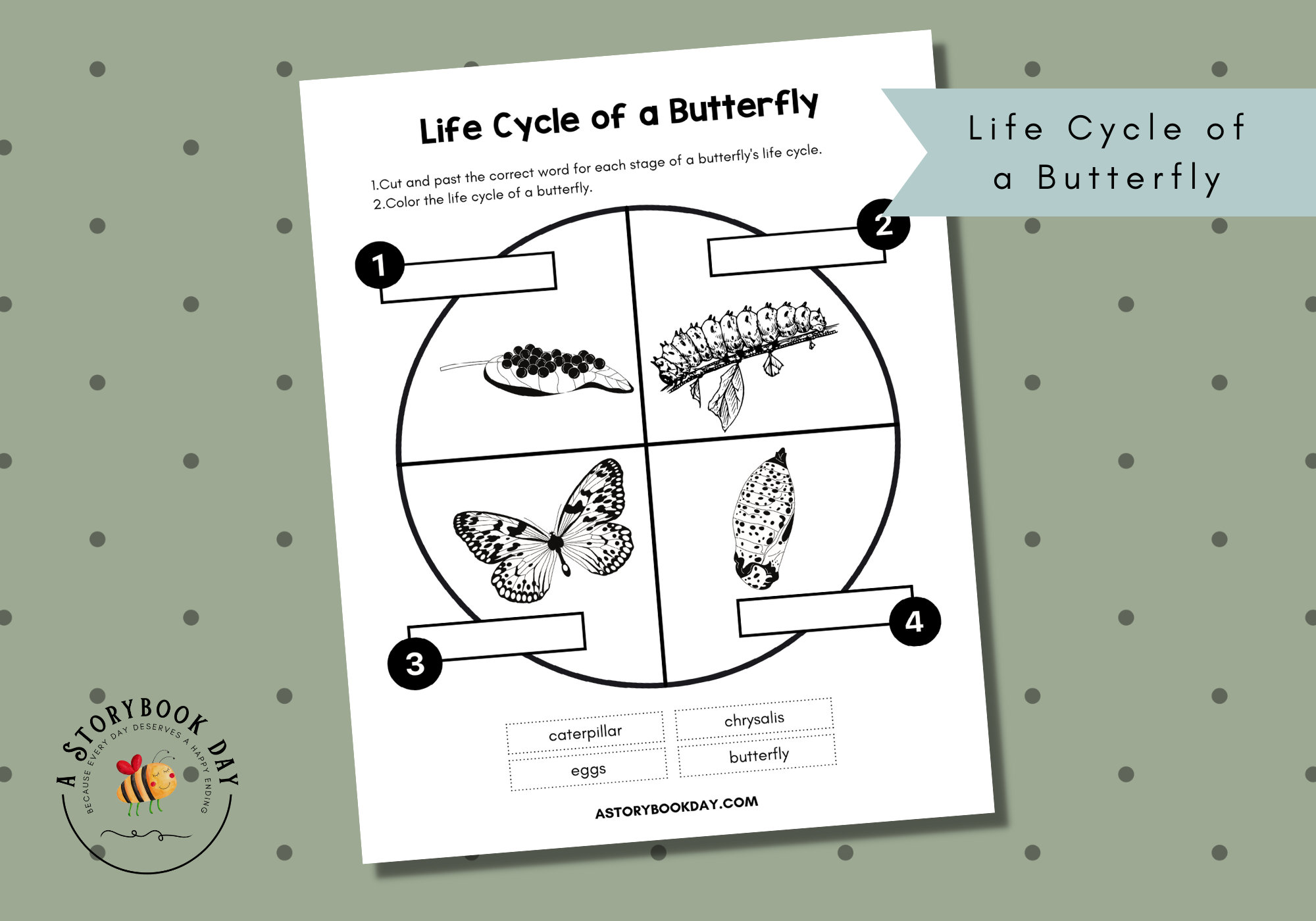 PDF: Life Cycle of a Butterfly Worksheets Bundle Spring Nature Study - Etsy