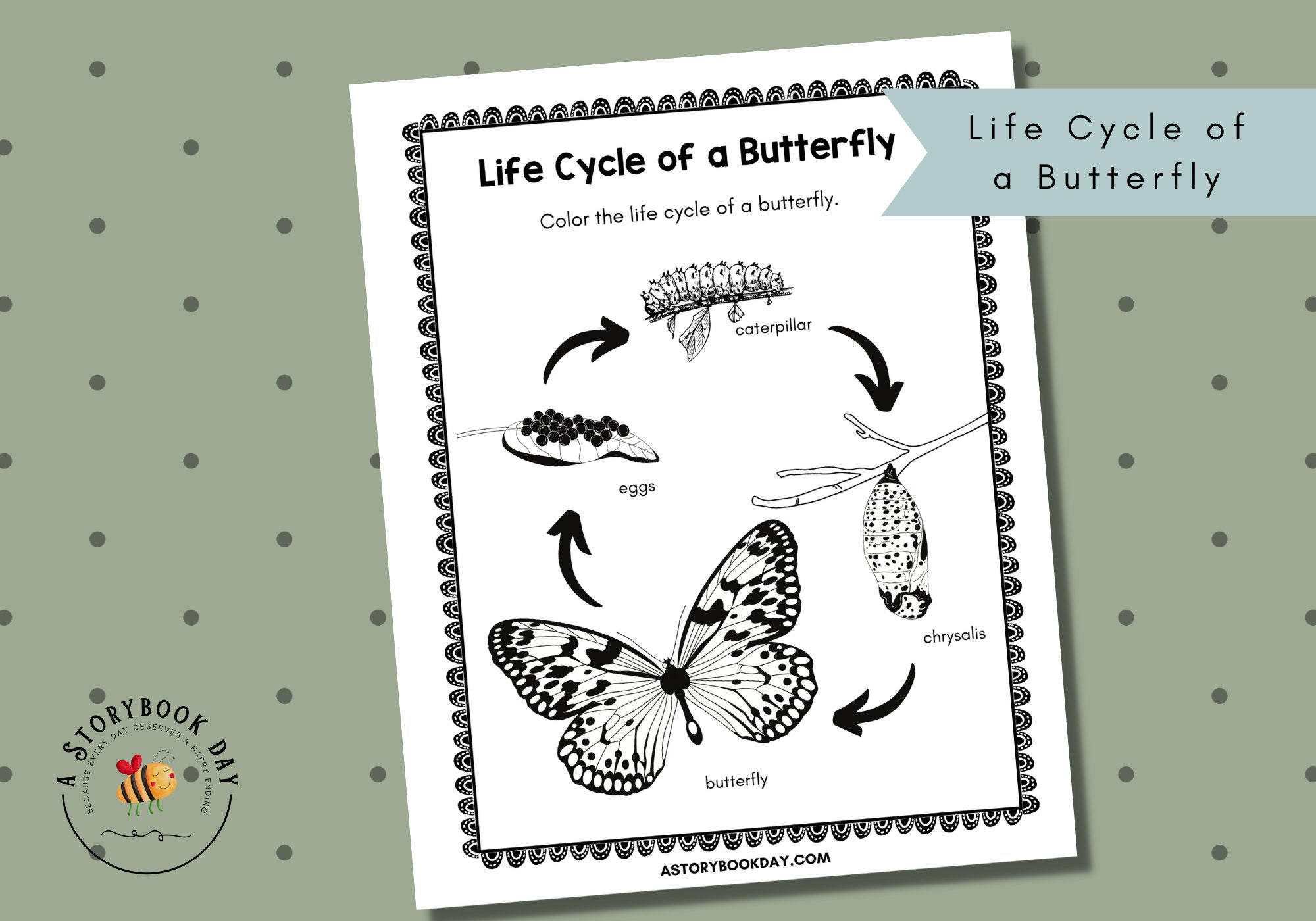 PDF: Life Cycle of a Butterfly Worksheets Bundle Spring Nature Study - Etsy