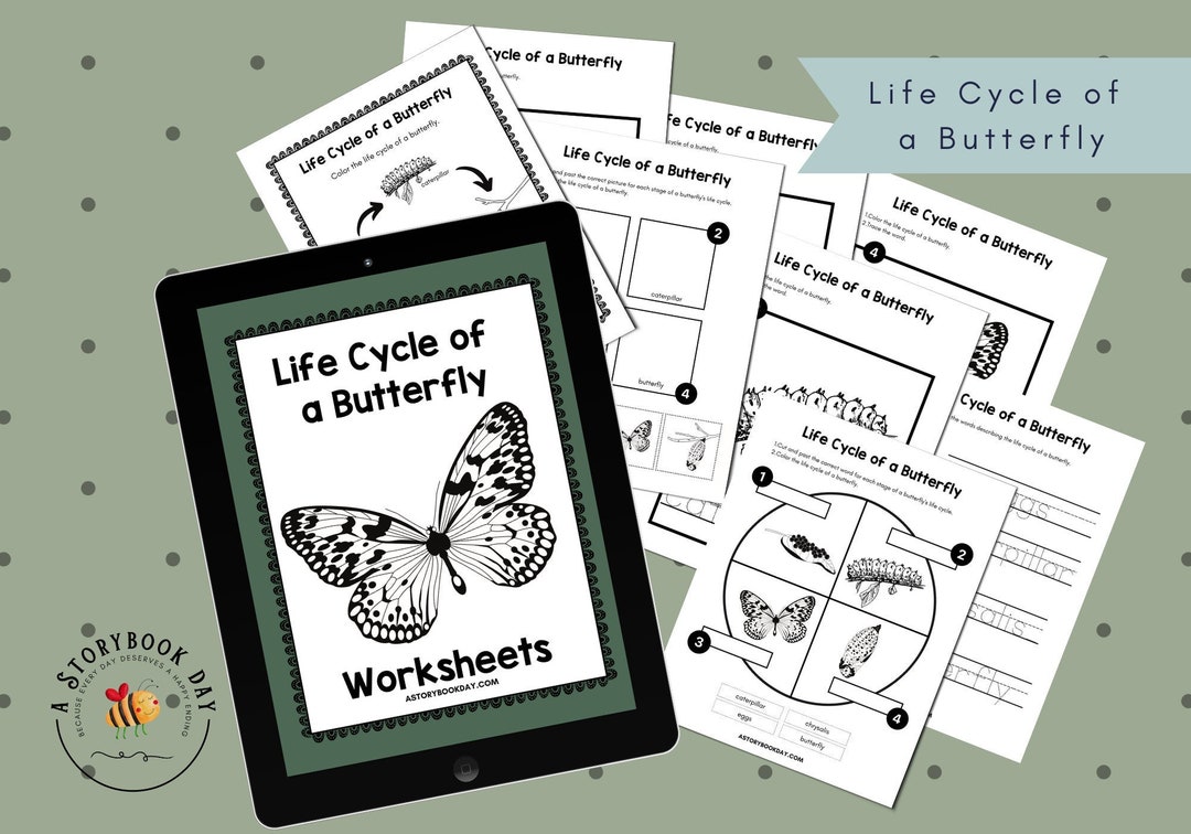 PDF: Life Cycle of a Butterfly Worksheets Bundle | Spring | Nature ...