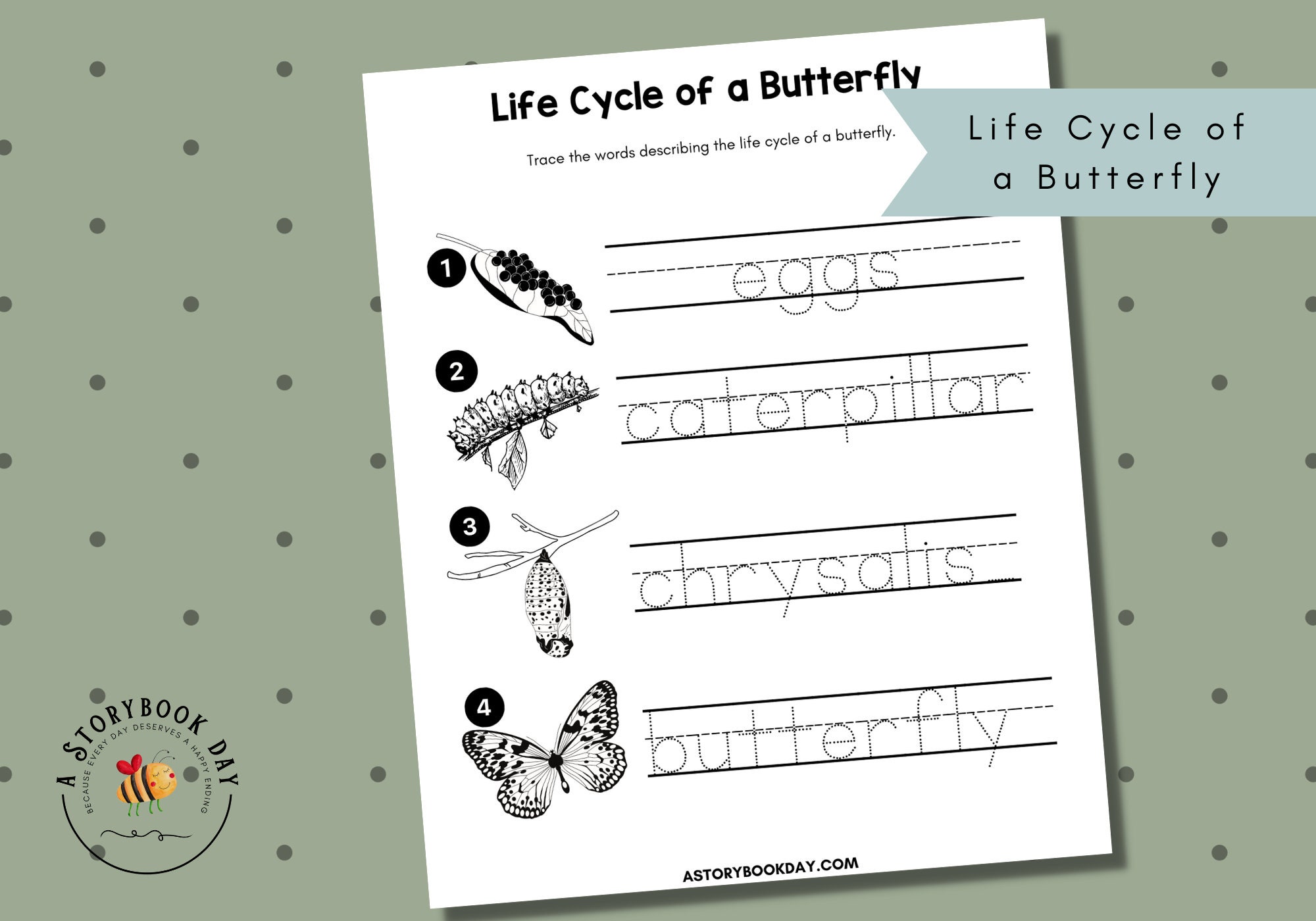 PDF: Life Cycle of a Butterfly Worksheets Bundle Spring Nature Study - Etsy