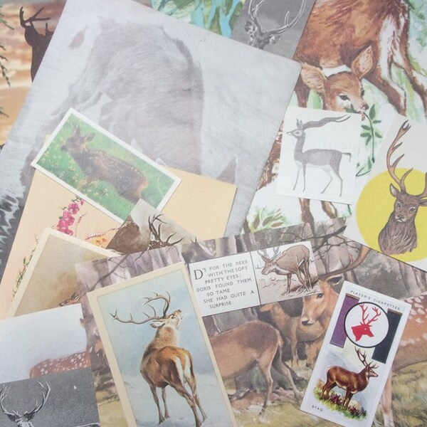 Deer Picture Collage - Etsy