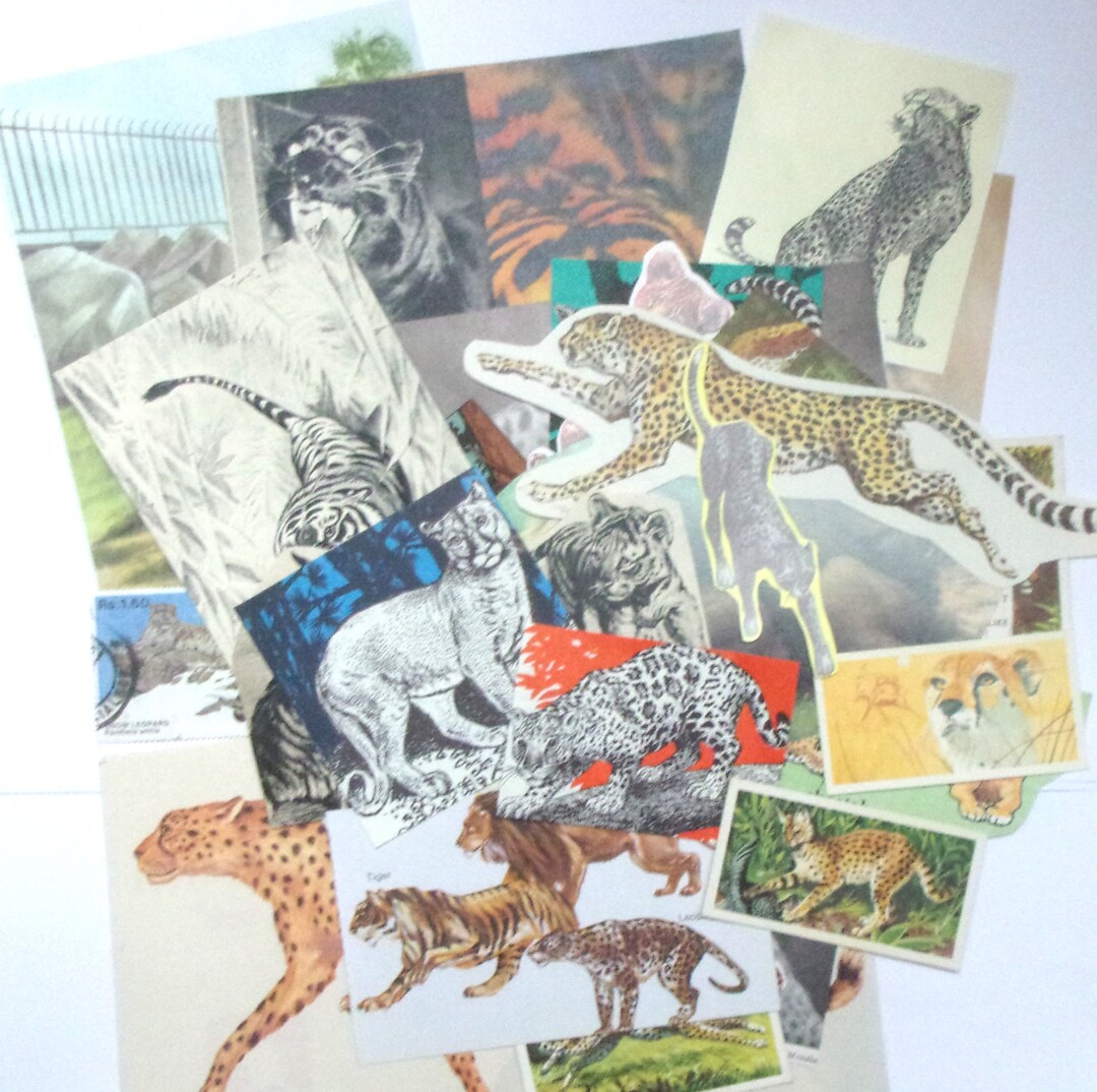 Big Cat Themed Craft Paper: 40 Vintage Pictures, Die Cuts. Eco Friendly ...