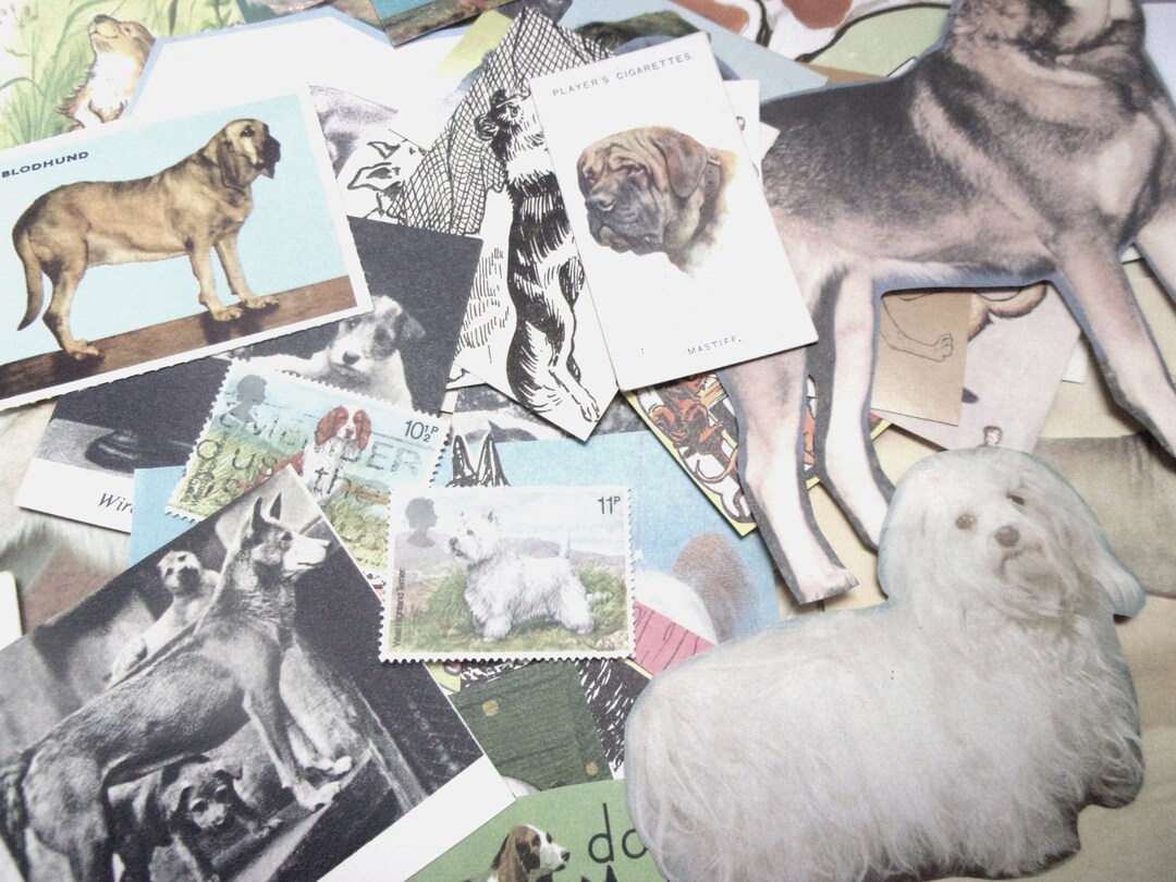 Dog Themed Paper Ephemera: Pack of 40 Vintage Pictures, Stamps, Cards ...