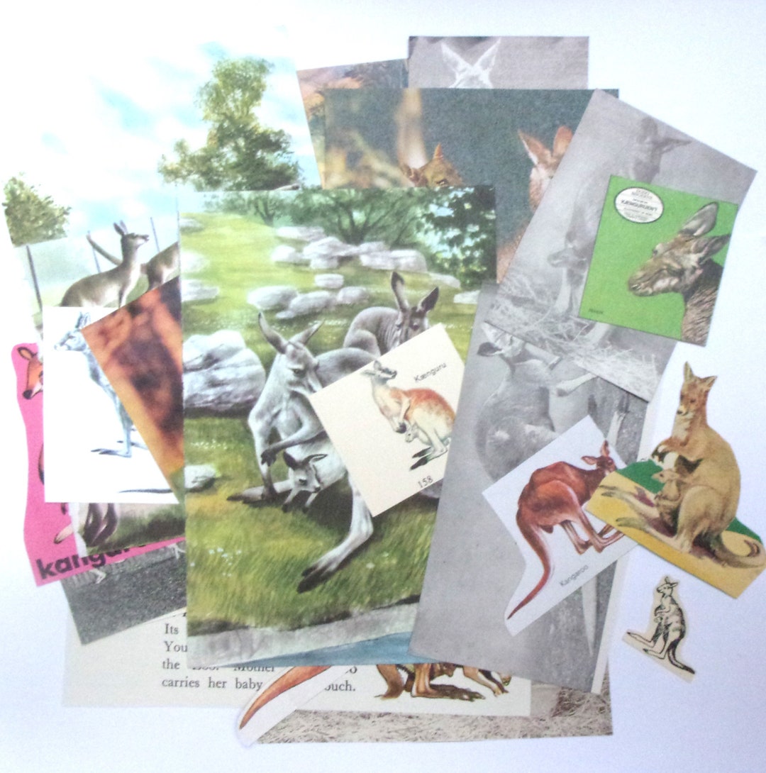 Kangaroo Themed Vintage Craft Paper Packs: 22 Die Cuts and Pictures for ...