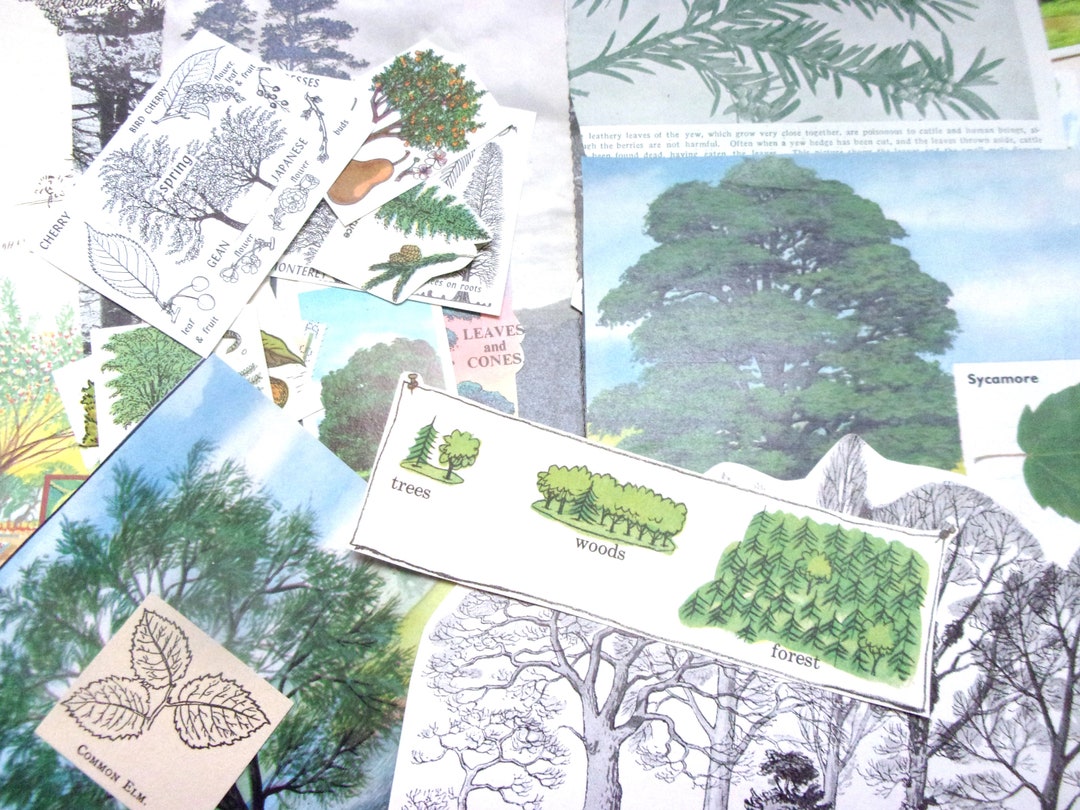 Trees Vintage Paper Craft Pack: 40 Paper Pieces, Die Cuts. Ephemera for ...