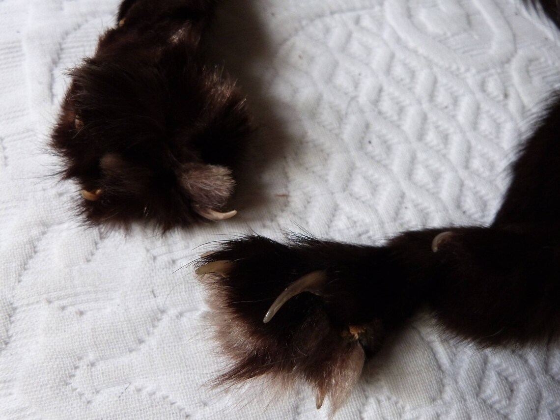 Antique Silver Fox Fur Pelt Wrap Stole Collar Scarf Shawl Wrap - Etsy