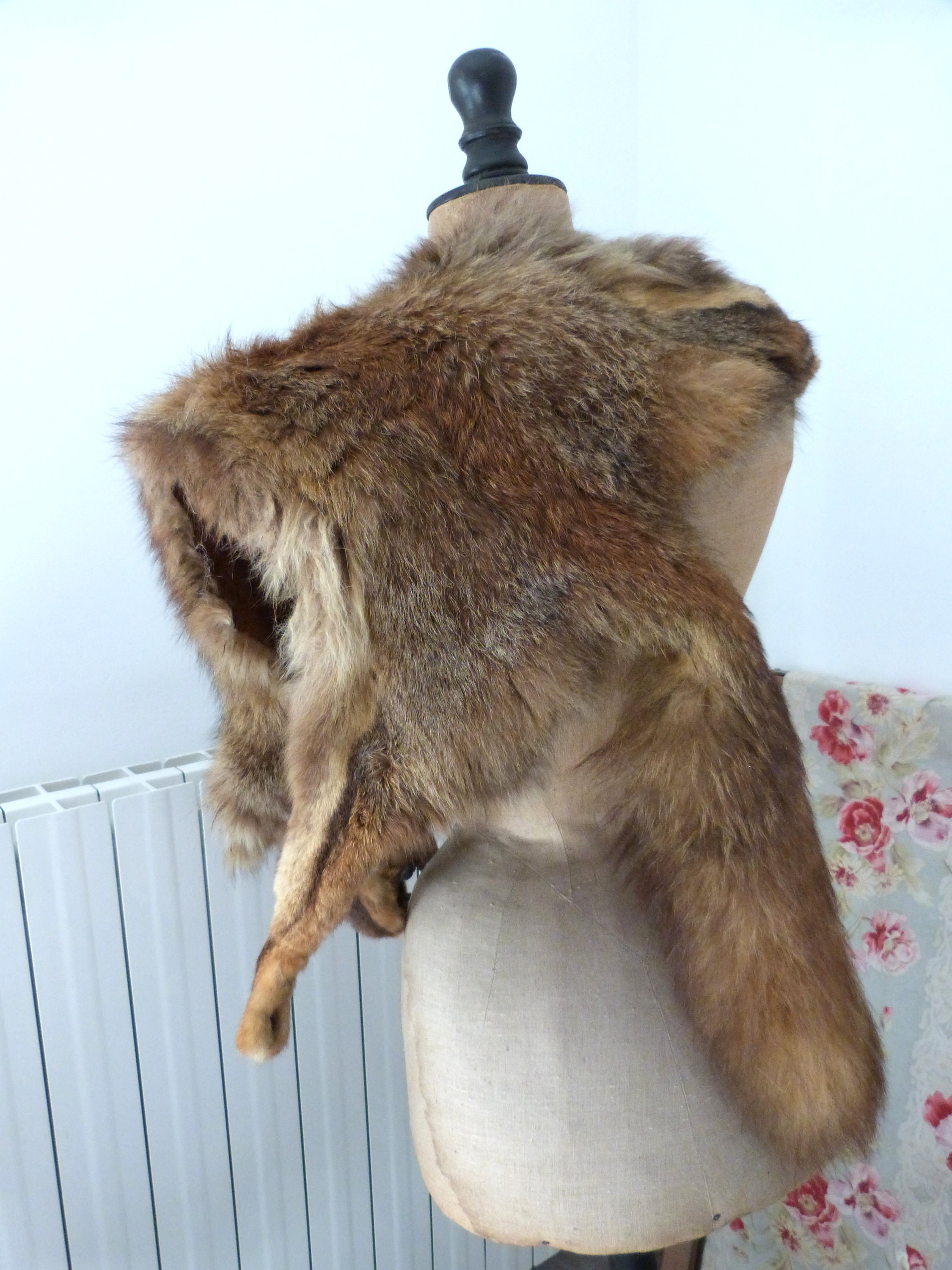 Antique French Real Red Fox Fur Full Body Pelt Wrap Stole - Etsy