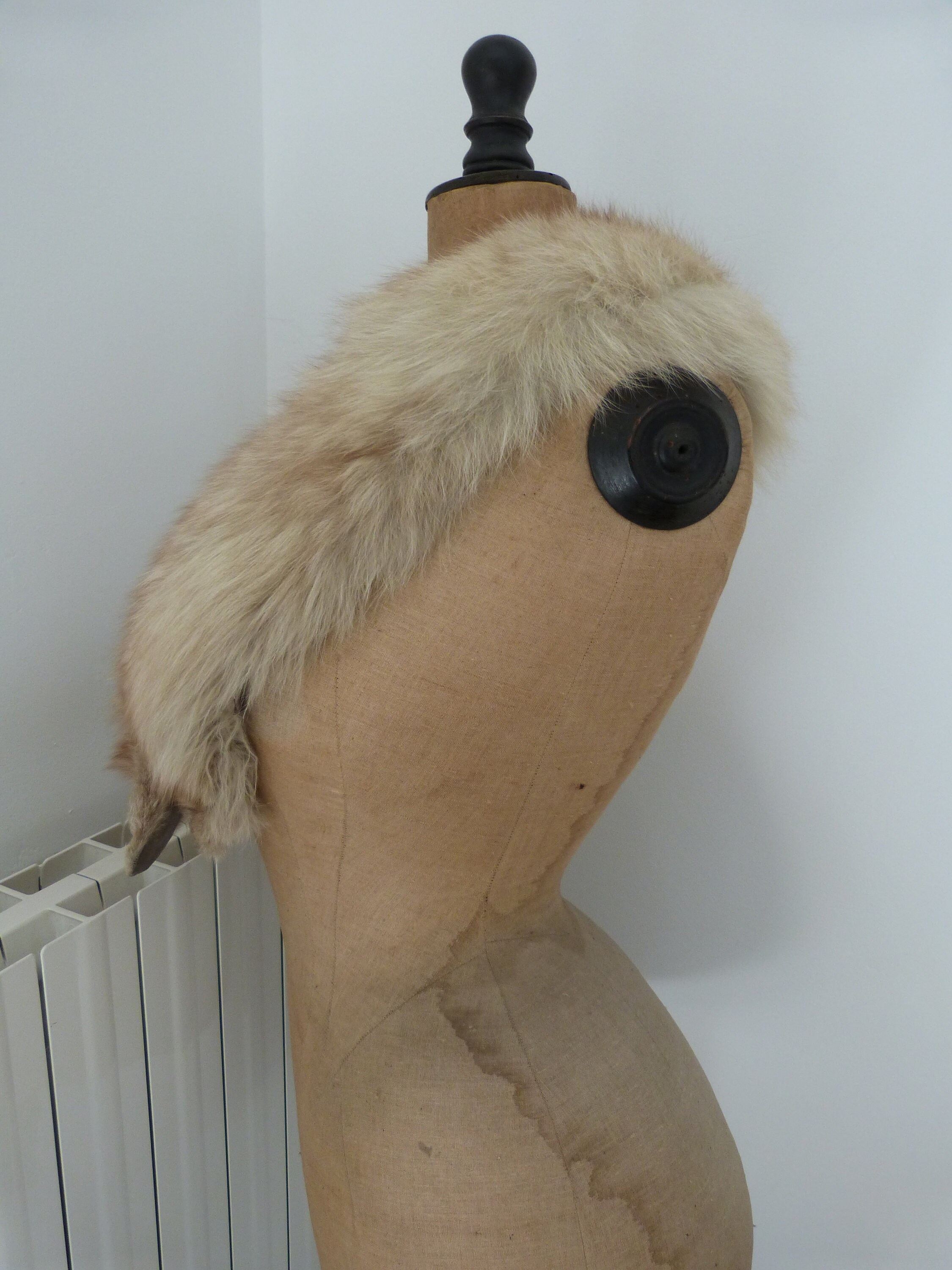 Antique Beige Fox Fur Neck Collar Scarf Shawl Wrap Stole, French ...