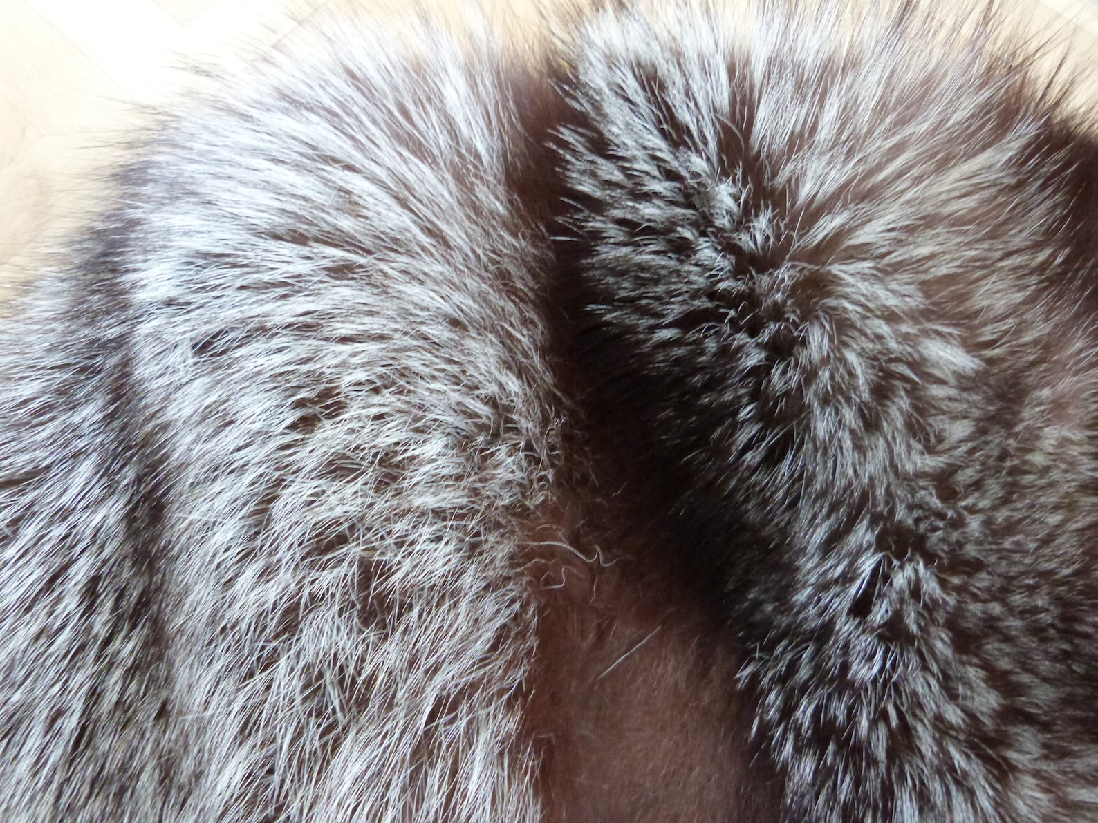Antique Silver Fox Fur Pelt Cape Cope Wrap Stole Wrap Shrug French ...