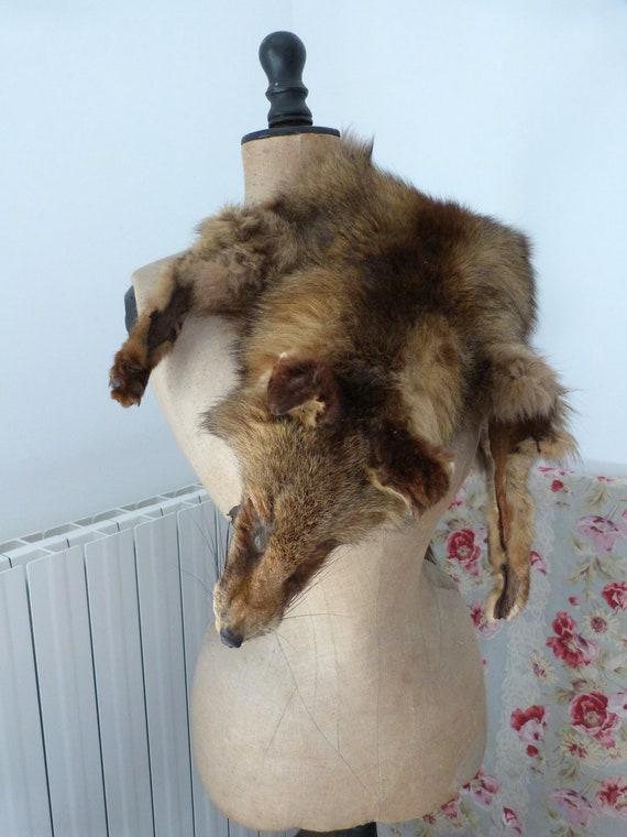 Antique French real red fox fur full body pelt wrap s… - Gem