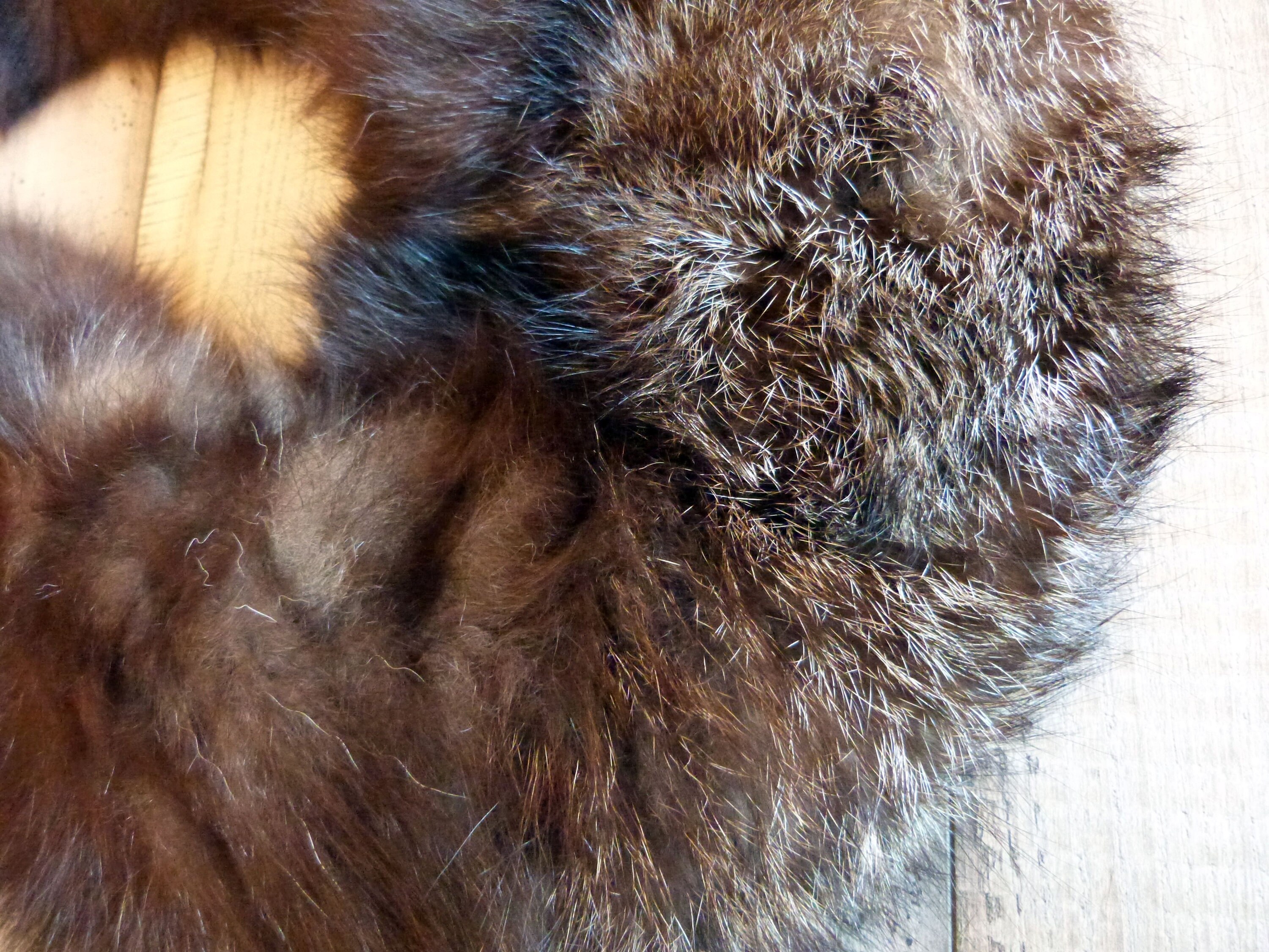 Antique Silver Fox Fur Pelt Wrap Stole Collar Scarf Shawl Wrap - Etsy