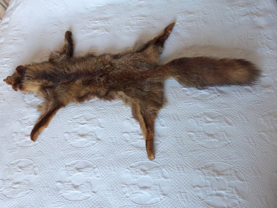 Antique French real red fox fur full body pelt wrap s… - Gem