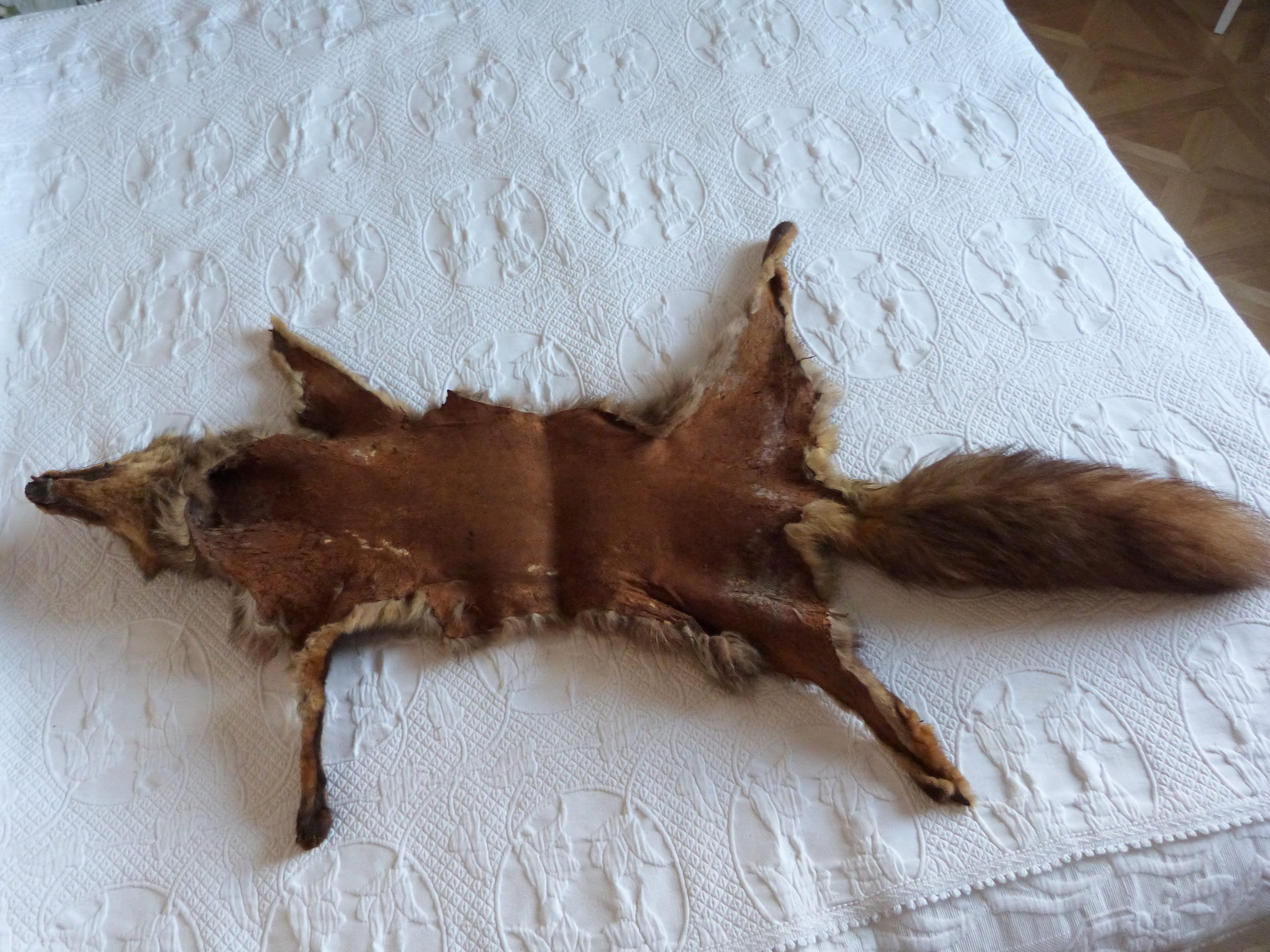 Antique French Real Red Fox Fur Full Body Pelt Wrap Stole Collar Scarf ...