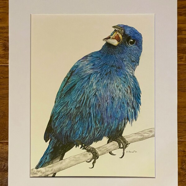 Angry Bluebird - Etsy