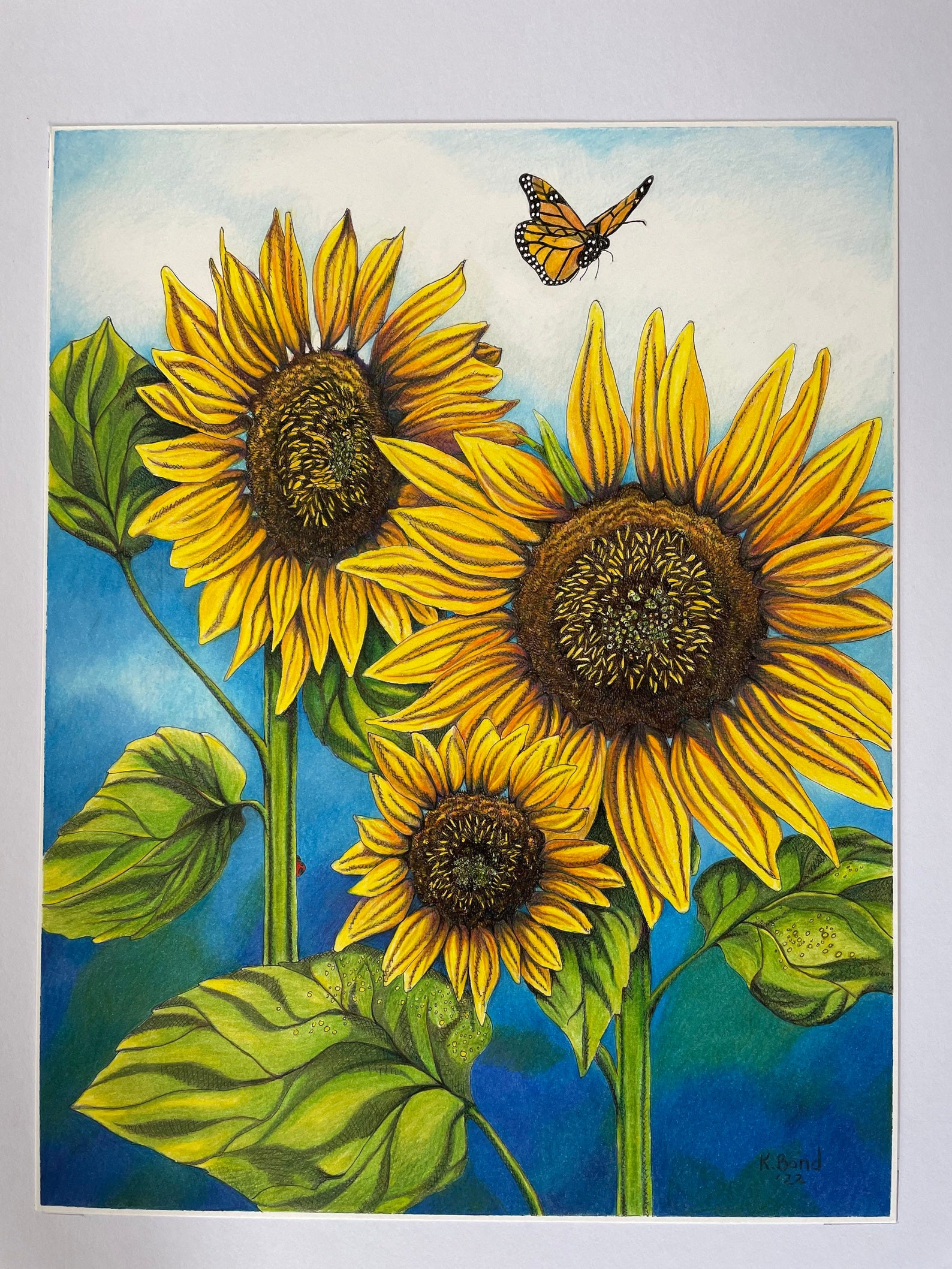 Sunflowers Colored Pencil and Ink Drawing on 11x14 Inch Bristol Board ...
