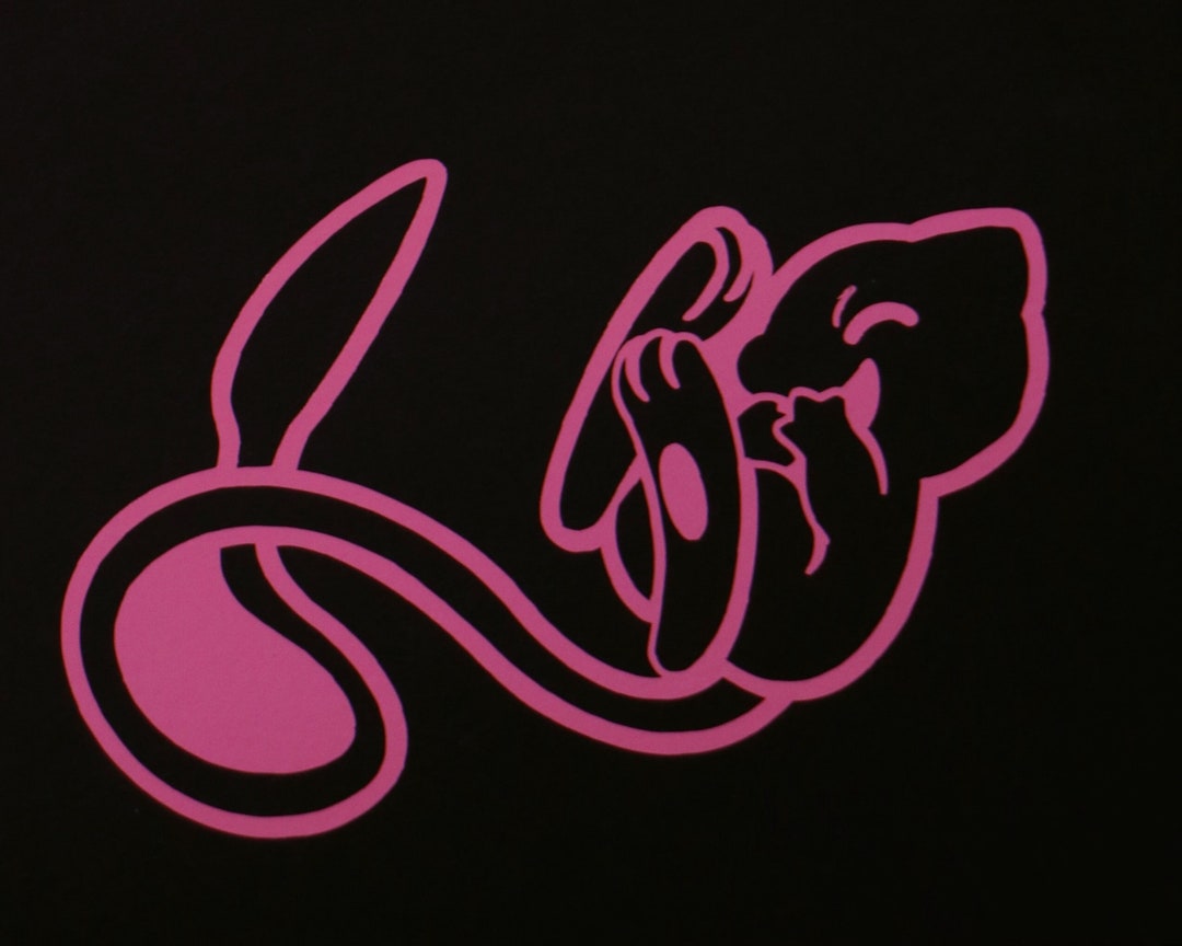 Mew Pokemon Decal - Etsy