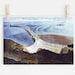 Eric Ravilious - Downs in Winter (1935) - Classic Painting Photo Poster ...