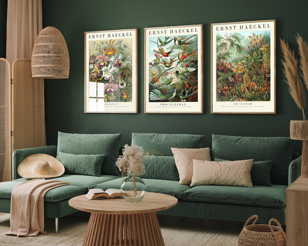 The Botanist Collection - Set of Three Vintage Ernst Haeckel Botanical ...