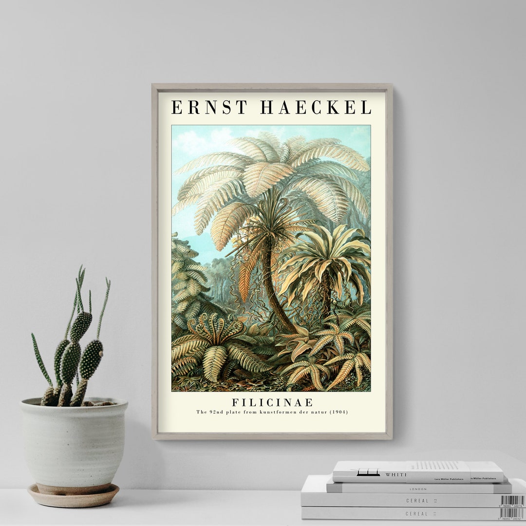 Ernst Haeckel Gallery Poster - Filicinae - Plate 92 - Art Forms in ...