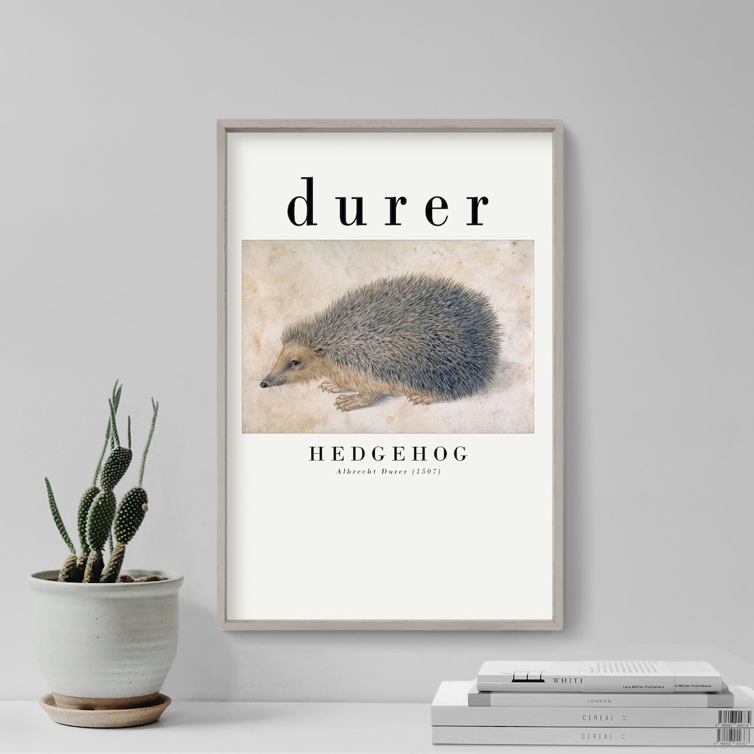 Albrecht Durer - Hedgehog (1507) Gallery - Classic Painting Photo ...