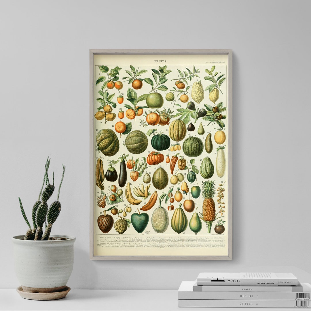 Adolphe Philippe Millot Art Print - Types of Fruit Illustration ...