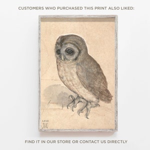 Albrecht Durer - Young Hare (1502) Gallery - Classic Painting Photo ...