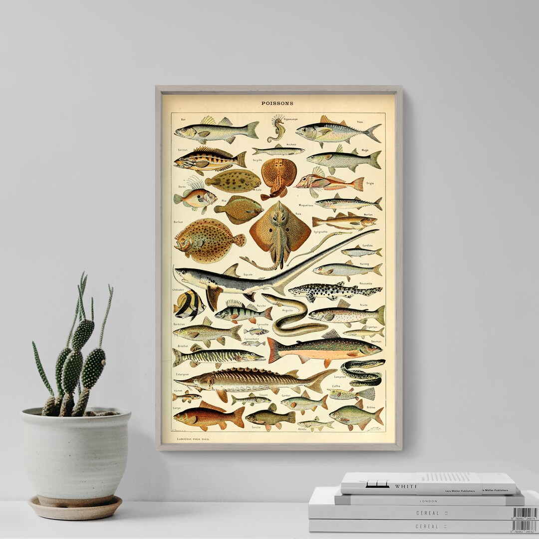 Adolphe Philippe Millot Art Print - Types of Fish Illustration - Nature ...